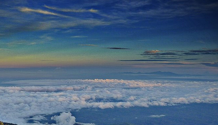 The horrors of climate change | Jessica Madrazo